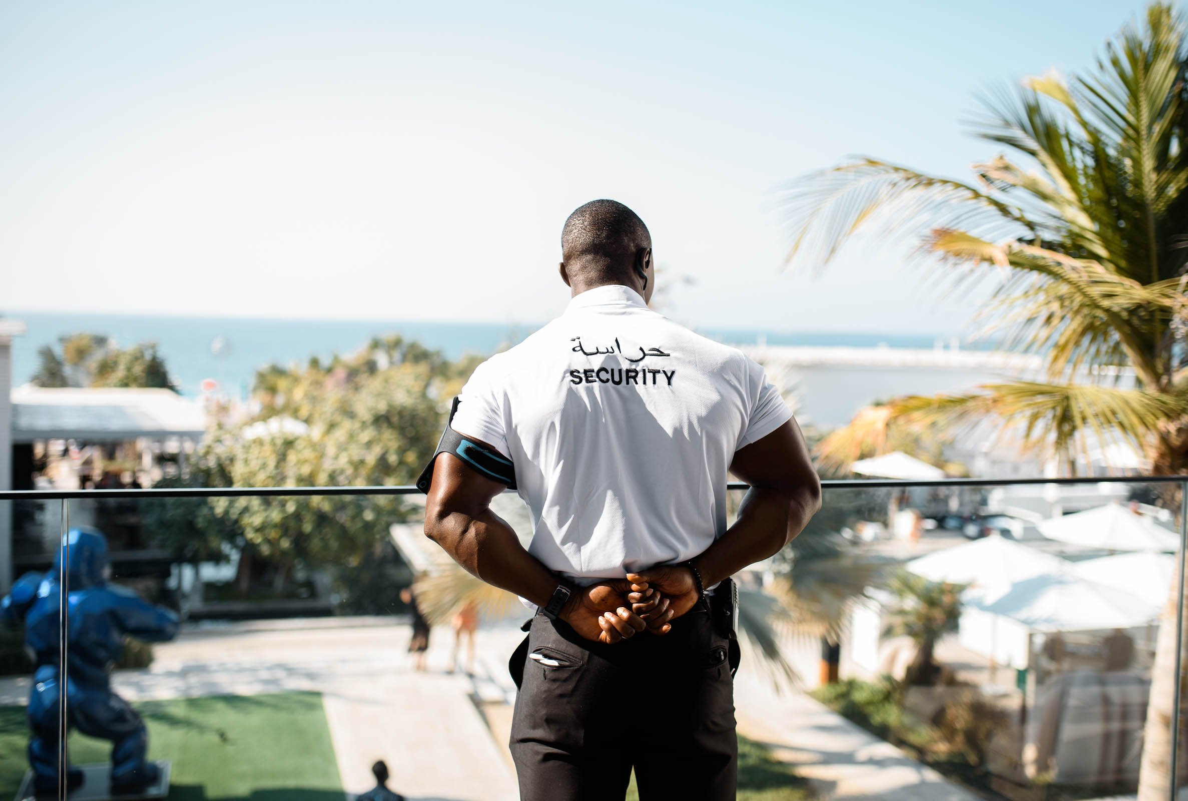 Professional Security Services | Best Security Companies in Dubai | VIP ...